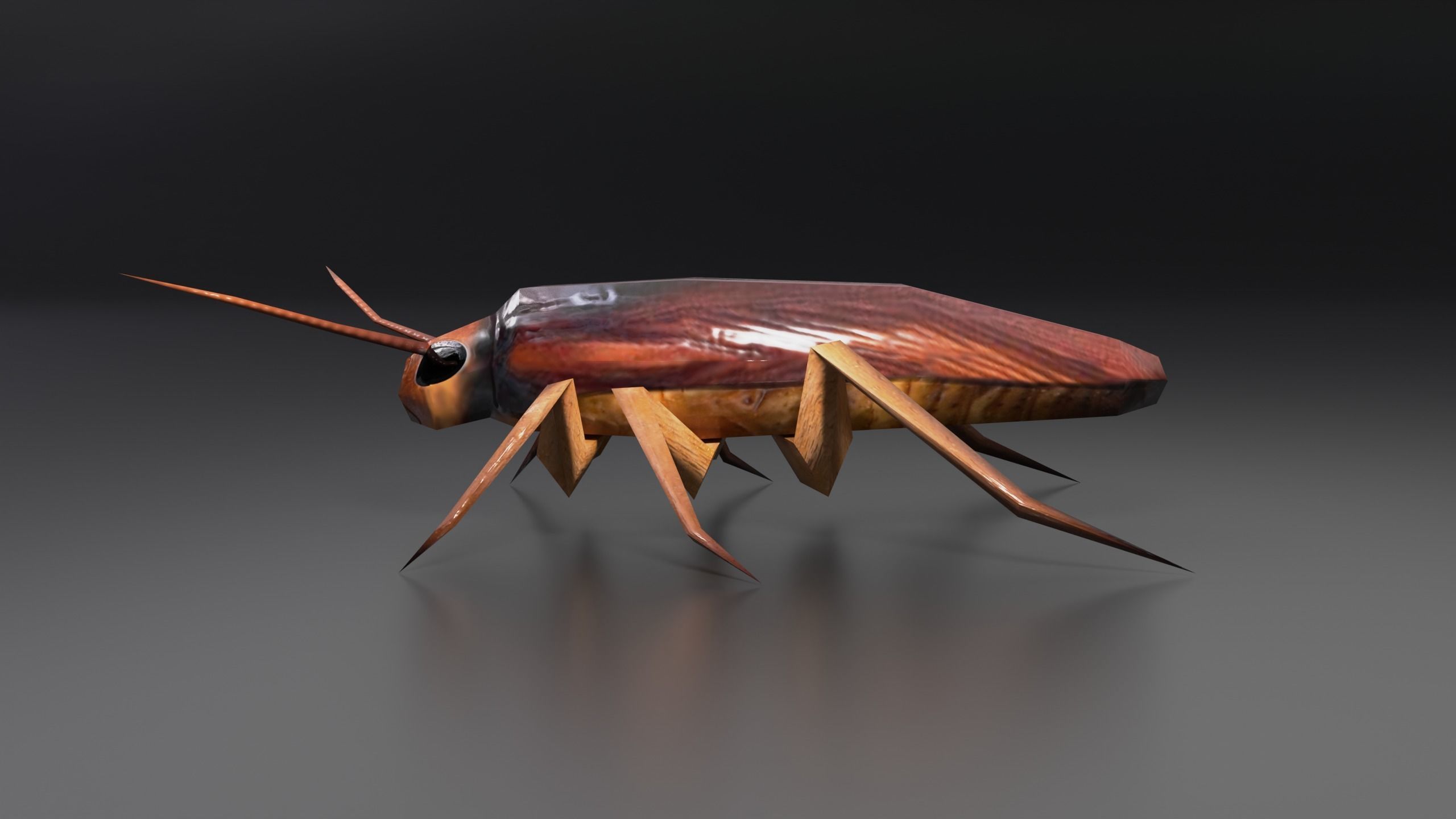 3D model Cockroach VR / AR / low-poly | CGTrader
