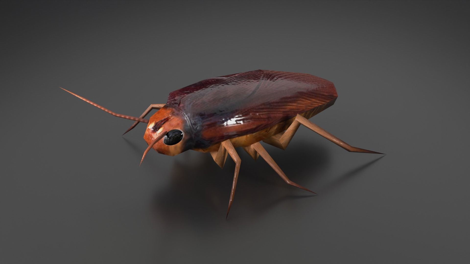 3D model Cockroach VR / AR / low-poly | CGTrader
