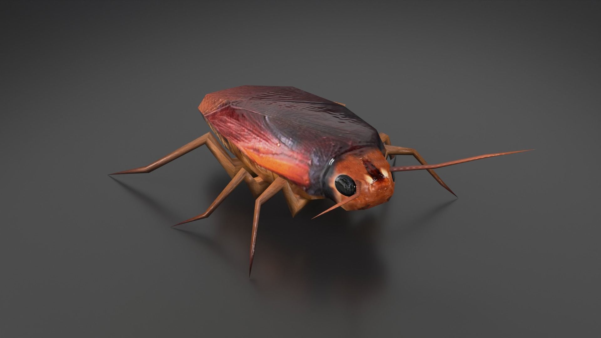 3D model Cockroach VR / AR / low-poly | CGTrader