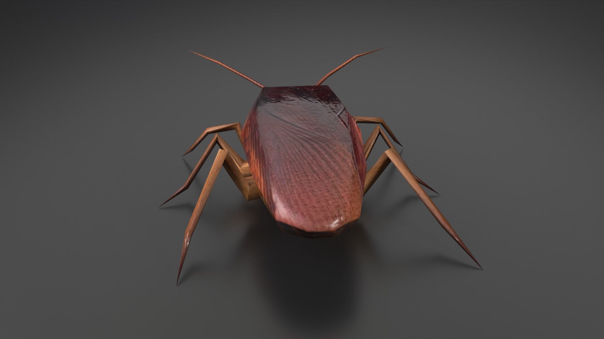 3D model Cockroach VR / AR / low-poly | CGTrader