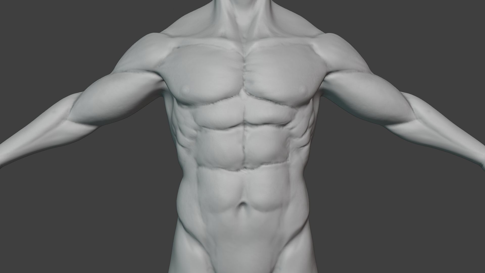 Male Body Base Athletic Sculpt 3D model | CGTrader