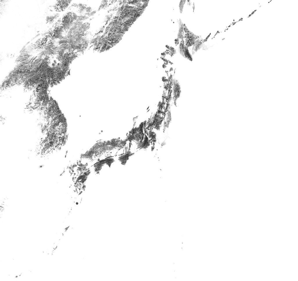 Japan High resolution 46k cavity map Texture | CGTrader