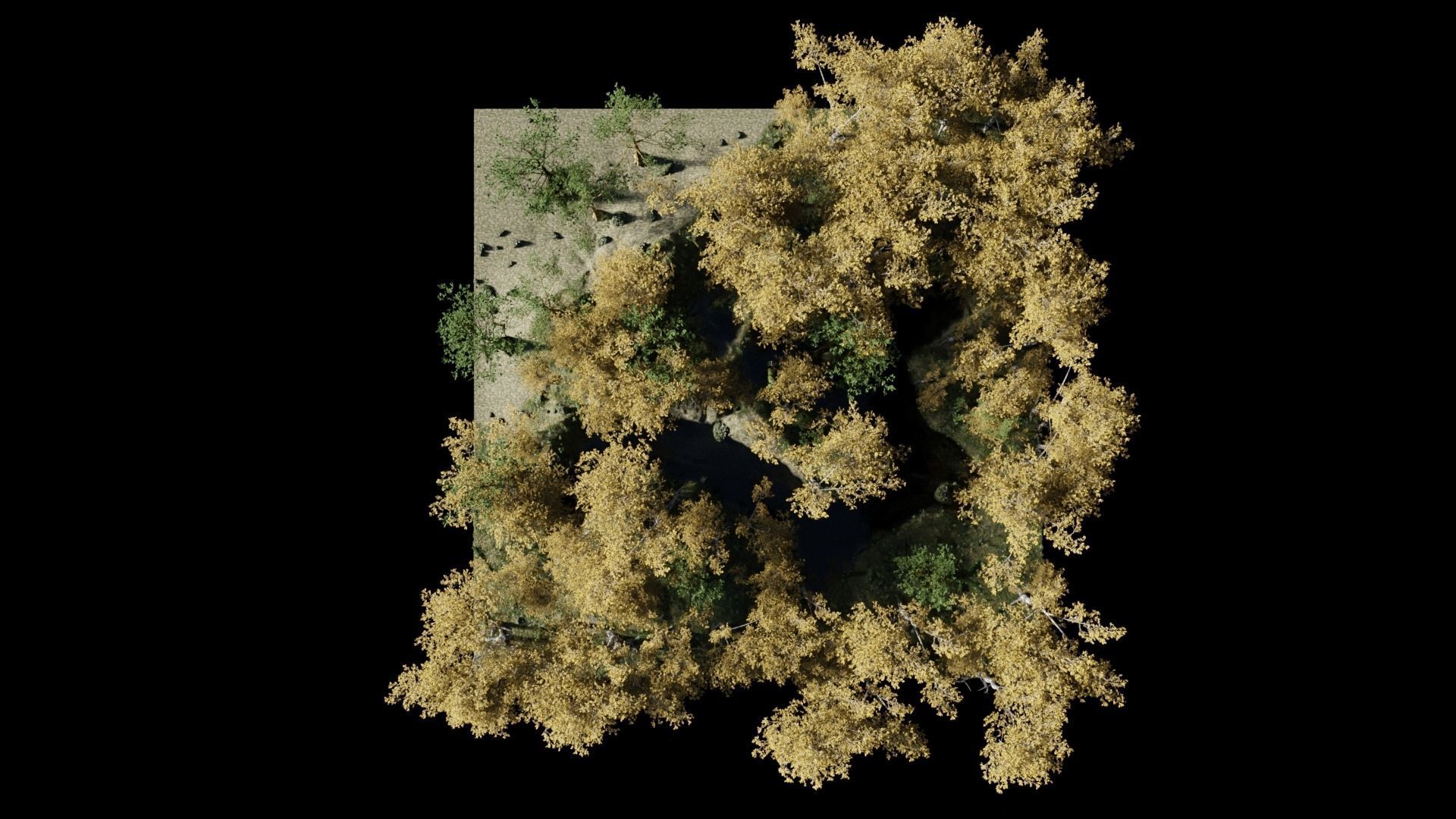 Forest Scene 2 3D model | CGTrader