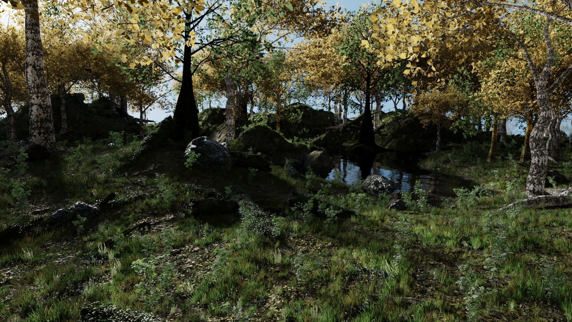 Forest Scene 2 3D model | CGTrader