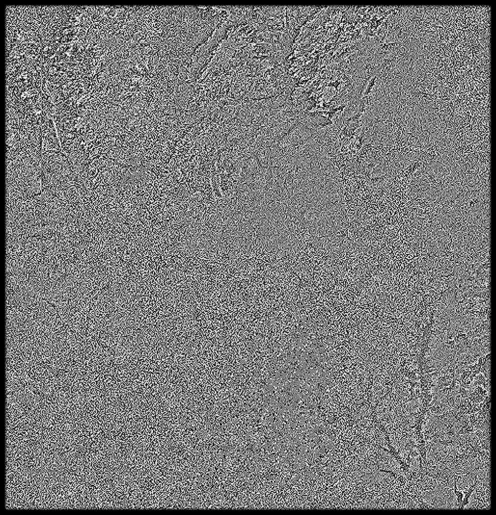 Sudan High resolution 31k curvature map Texture | CGTrader