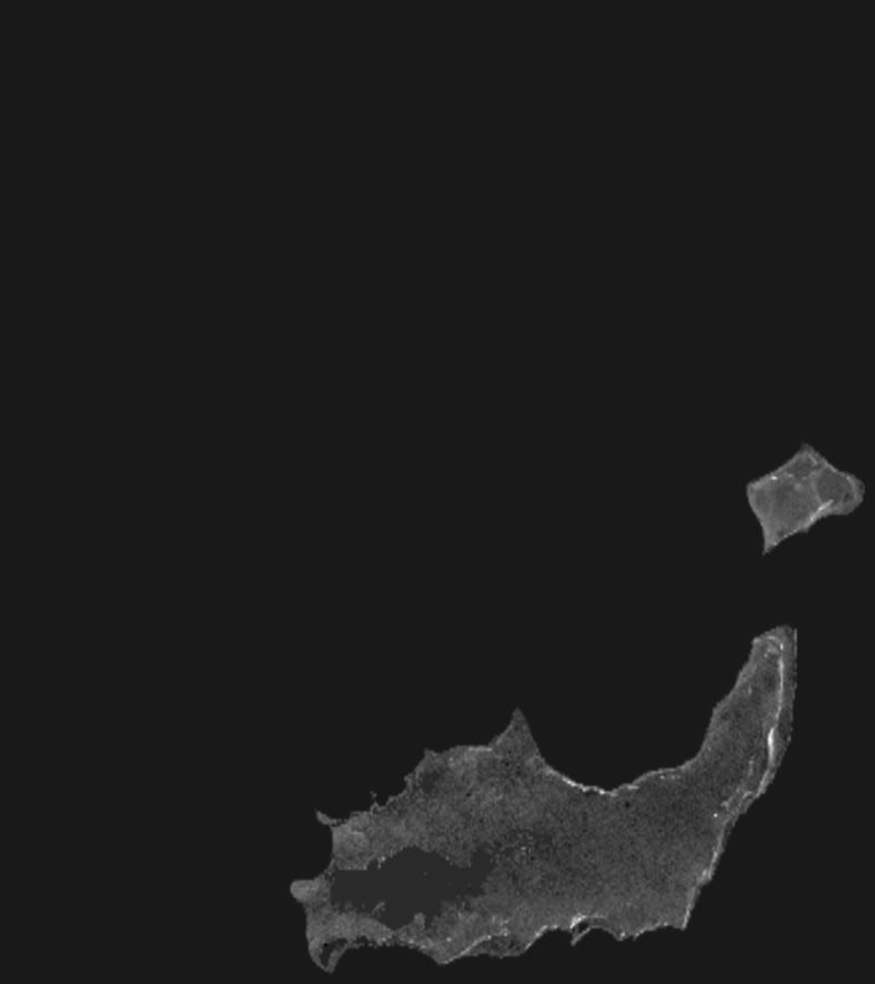 Bahamas High resolution 11k displacement heightmap and geometry Texture ...