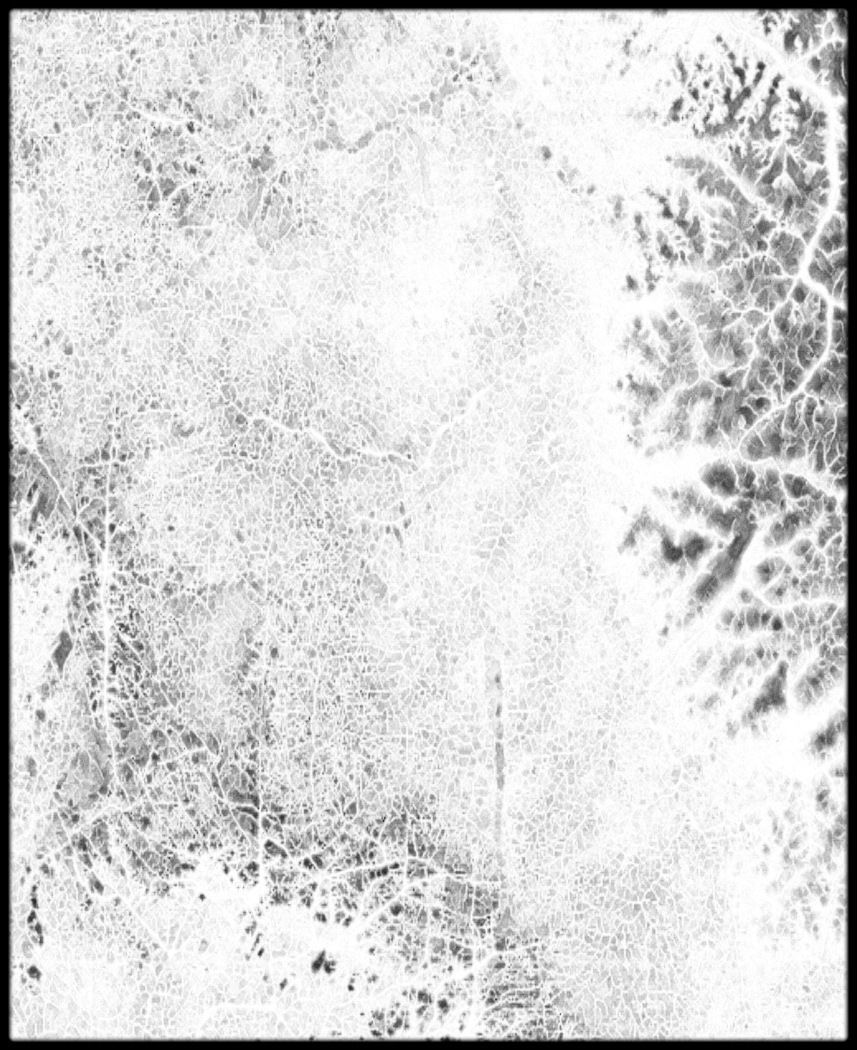 Gabon High resolution 12k cavity map Texture | CGTrader