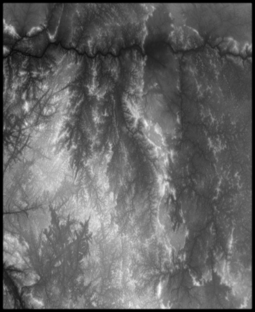 Gabon High resolution 12k displacement heightmap and geometry Texture ...