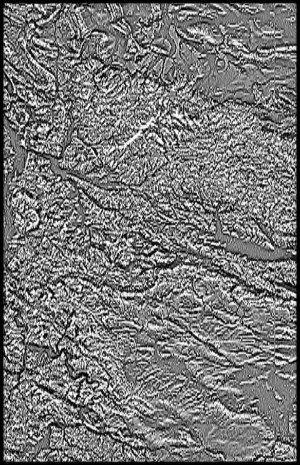 Germany High resolution 14k curvature map Texture | CGTrader