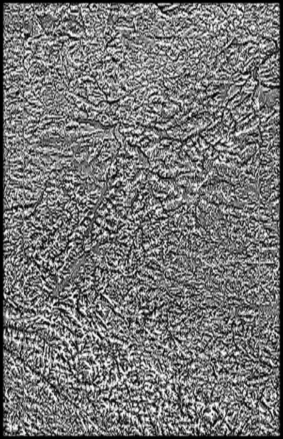 Germany High resolution 14k curvature map Texture | CGTrader