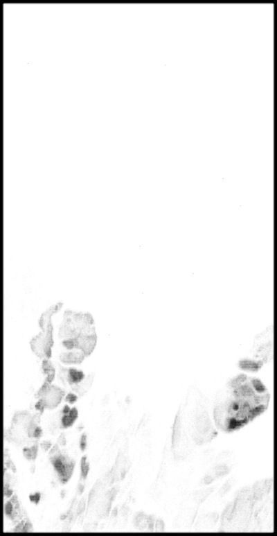 Iceland High resolution 8k cavity map Texture | CGTrader