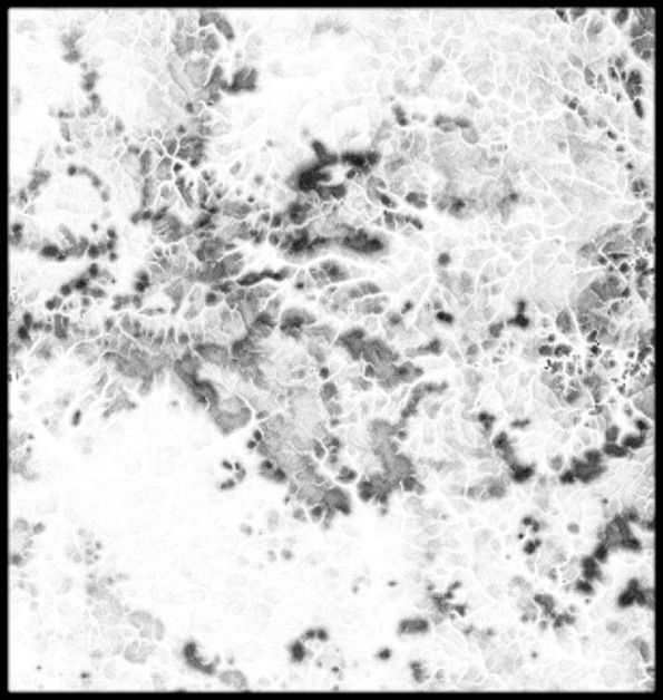 Lesotho High resolution 4k cavity map Texture | CGTrader