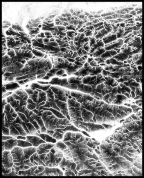 Slovenia High resolution 3k cavity map Texture | CGTrader