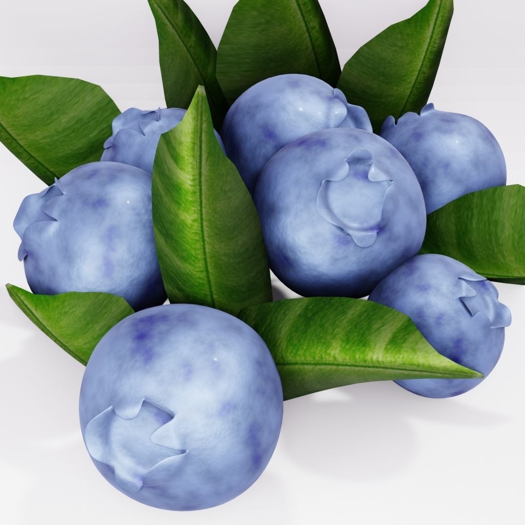 Blueberry 3D model | CGTrader