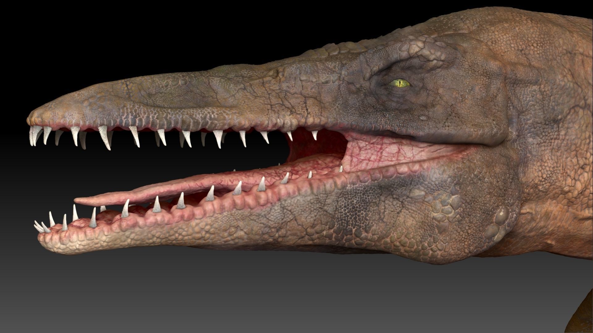 Tylosaurus Sculpt Project 3D model | CGTrader