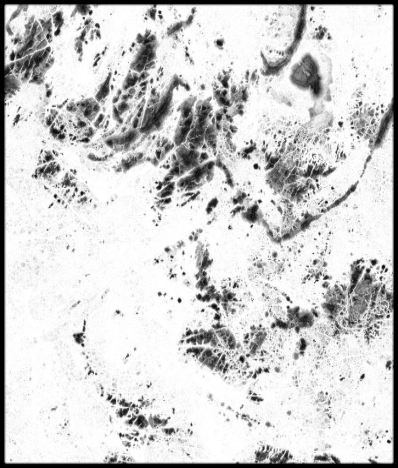 Guyana High resolution 14k cavity map Texture | CGTrader