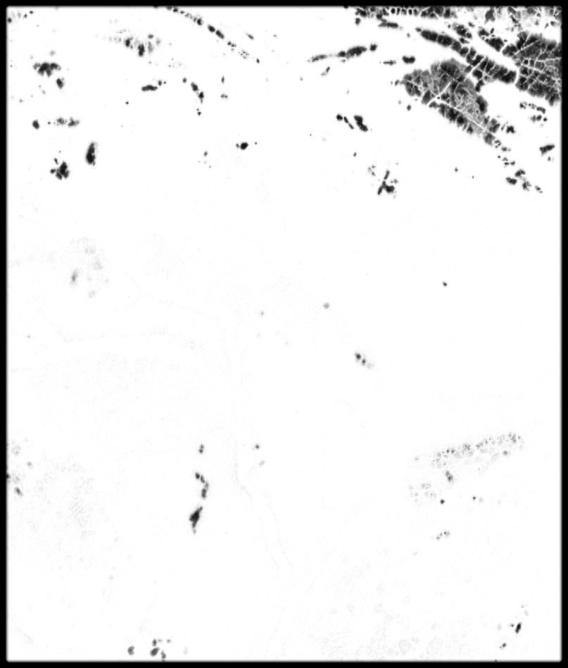 Guyana High resolution 14k cavity map Texture | CGTrader