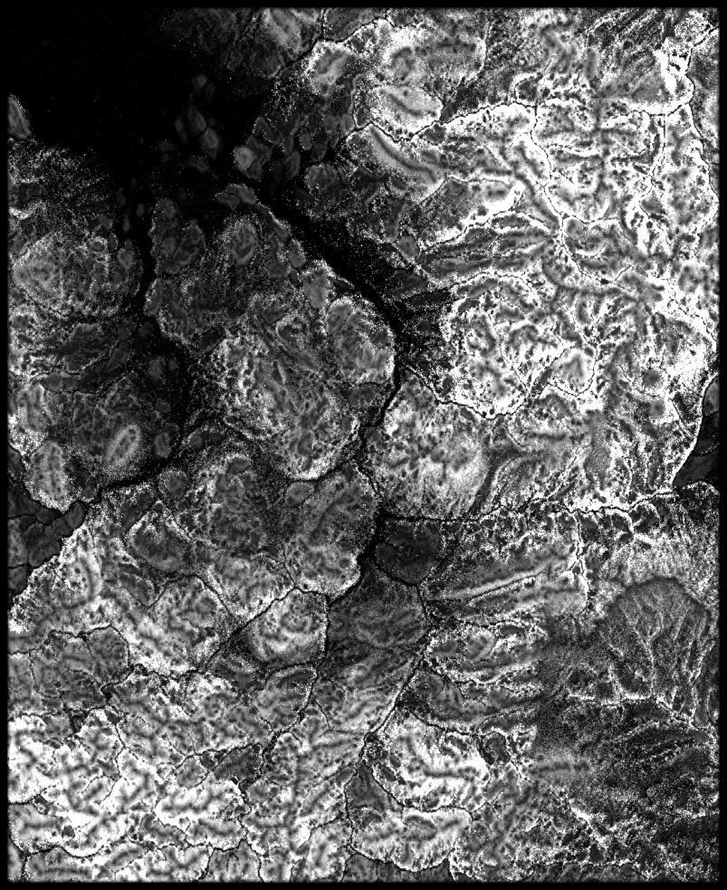 Iraq High resolution 16k thickness map Texture | CGTrader