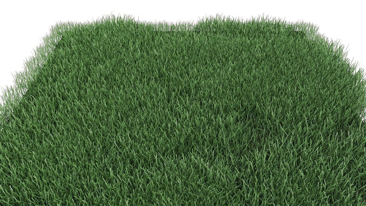 Realistic lawn grass for your projects 3D model | CGTrader