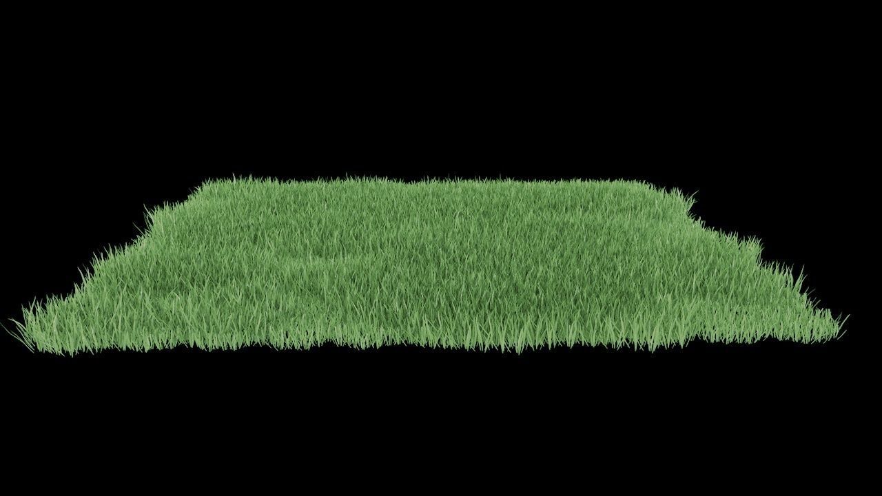 Realistic lawn grass for your projects 3D model | CGTrader