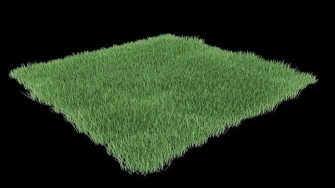Realistic lawn grass for your projects 3D model | CGTrader