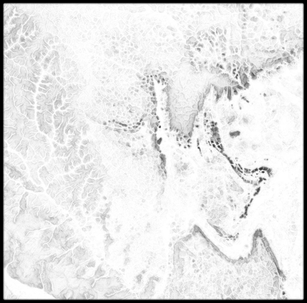 Central African Republic High resolution 24k cavity map Texture | CGTrader