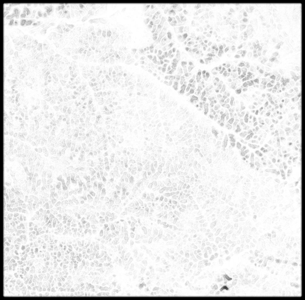 Central African Republic High resolution 24k cavity map Texture | CGTrader