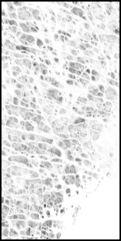 Sweden High resolution 26k cavity map Texture | CGTrader