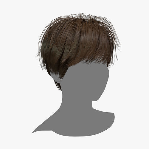 Female Hair - 008 3D model rigged | CGTrader