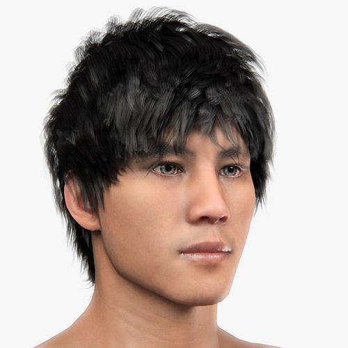 Male Hair - 006 3D model | CGTrader