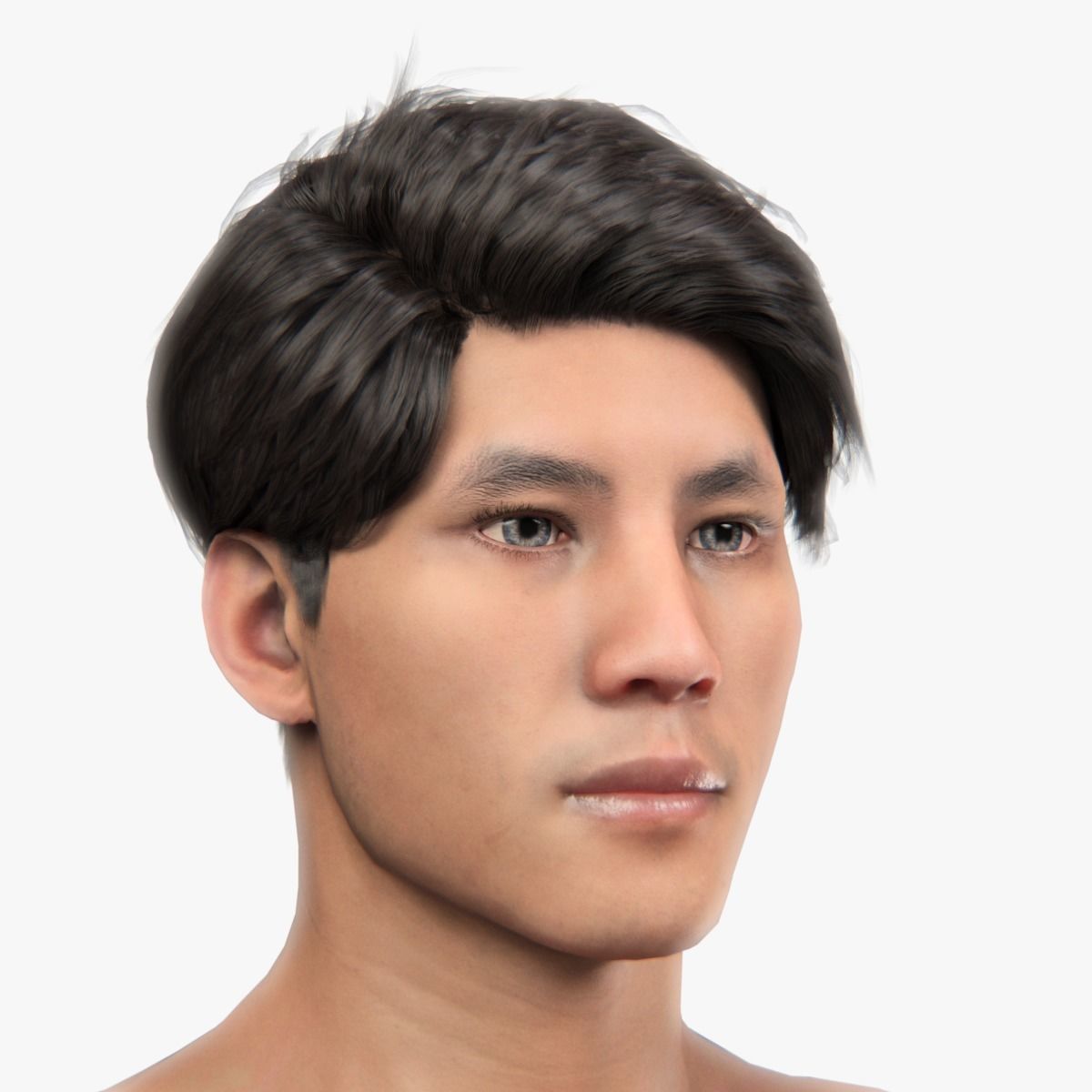 Male Hair - 008 3D model rigged | CGTrader