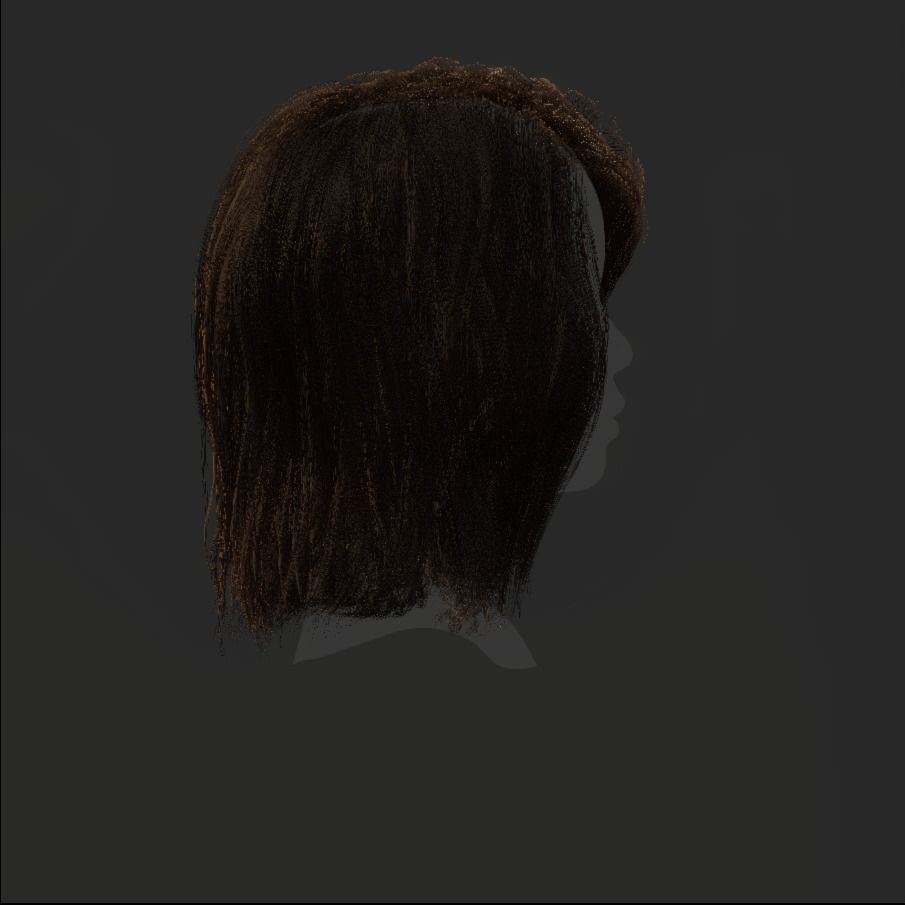 Female Hair - 016 3D model rigged | CGTrader