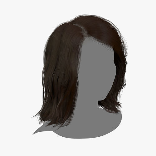 Female Hair - 016 3D model rigged | CGTrader