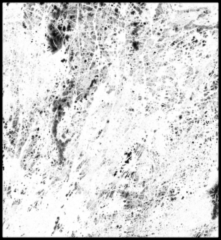 Liberia High resolution 8k cavity map Texture | CGTrader