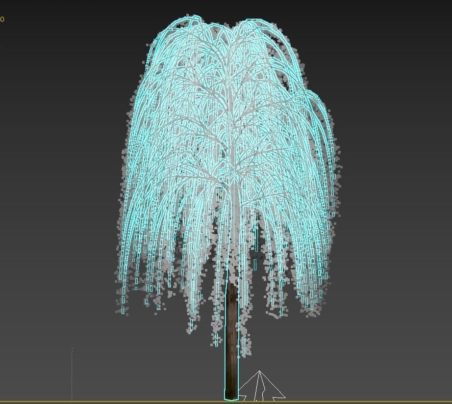 3D model Trees weeping willow tree VR / AR / low-poly | CGTrader