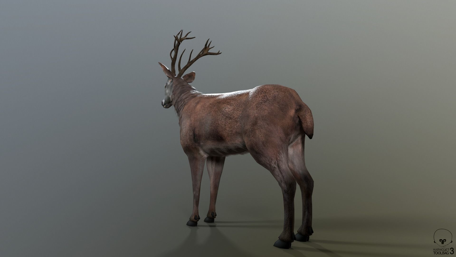 3D model Animated Lowpoly Fur Deer Stag VR / AR / low-poly | CGTrader