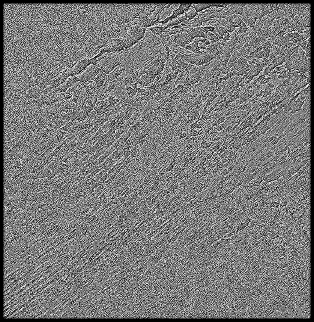 Mali High resolution 30k curvature map Texture | CGTrader