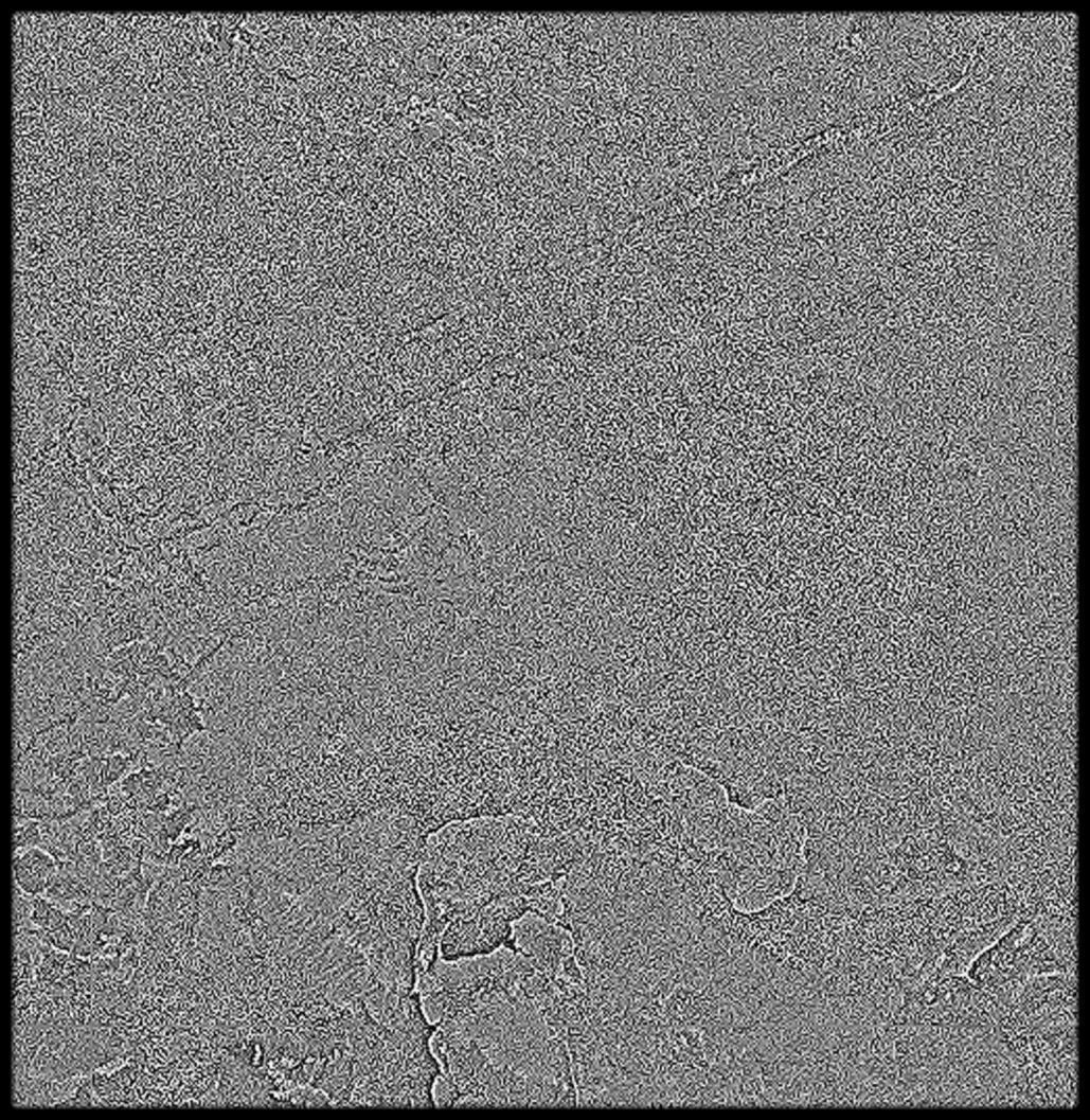 Mali High resolution 30k curvature map Texture | CGTrader