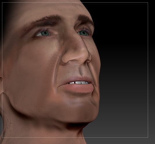 nic cage 3D model | CGTrader