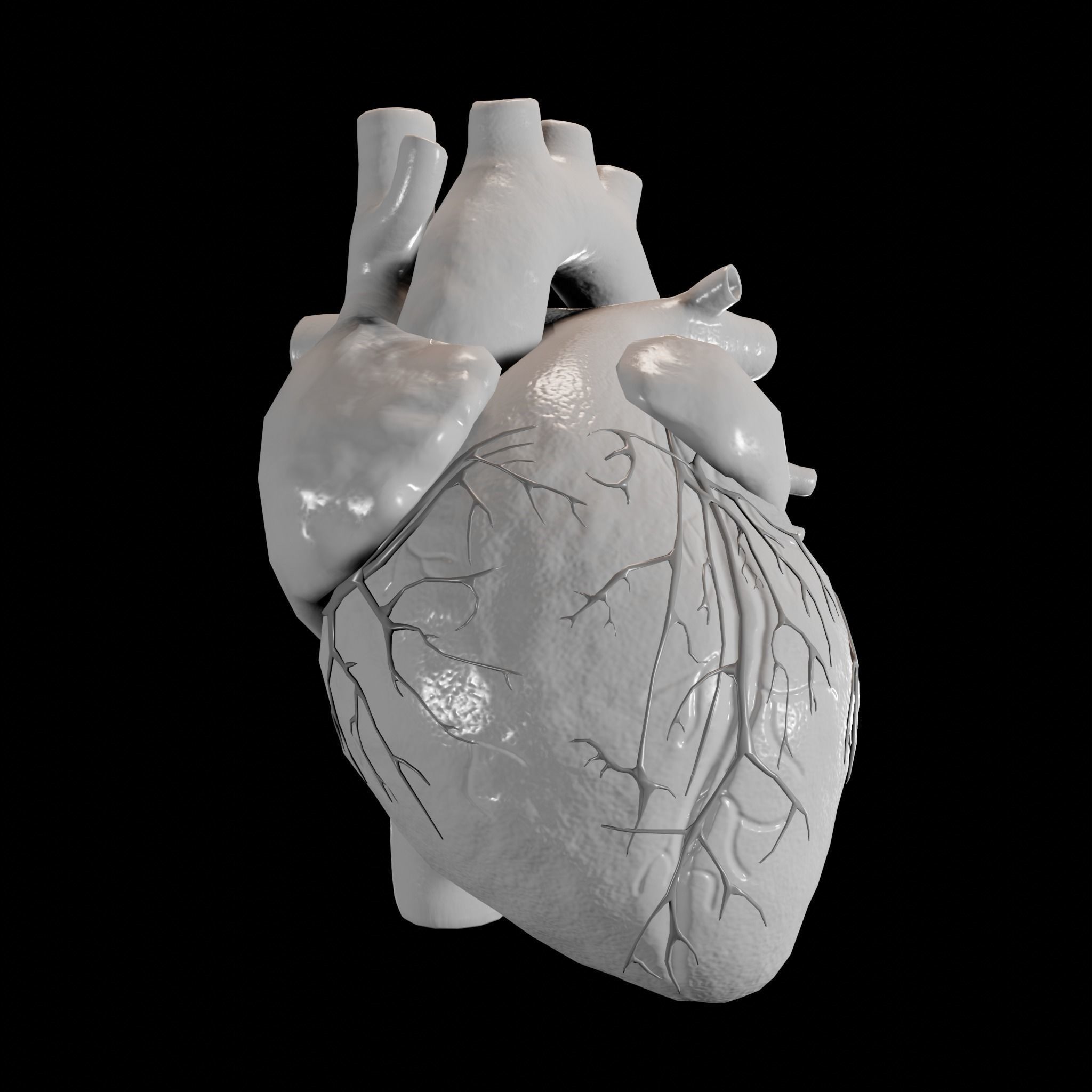 3D model Animated human heart VR / AR / low-poly | CGTrader