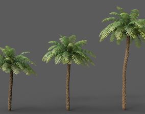 Fern 3D Models | CGTrader