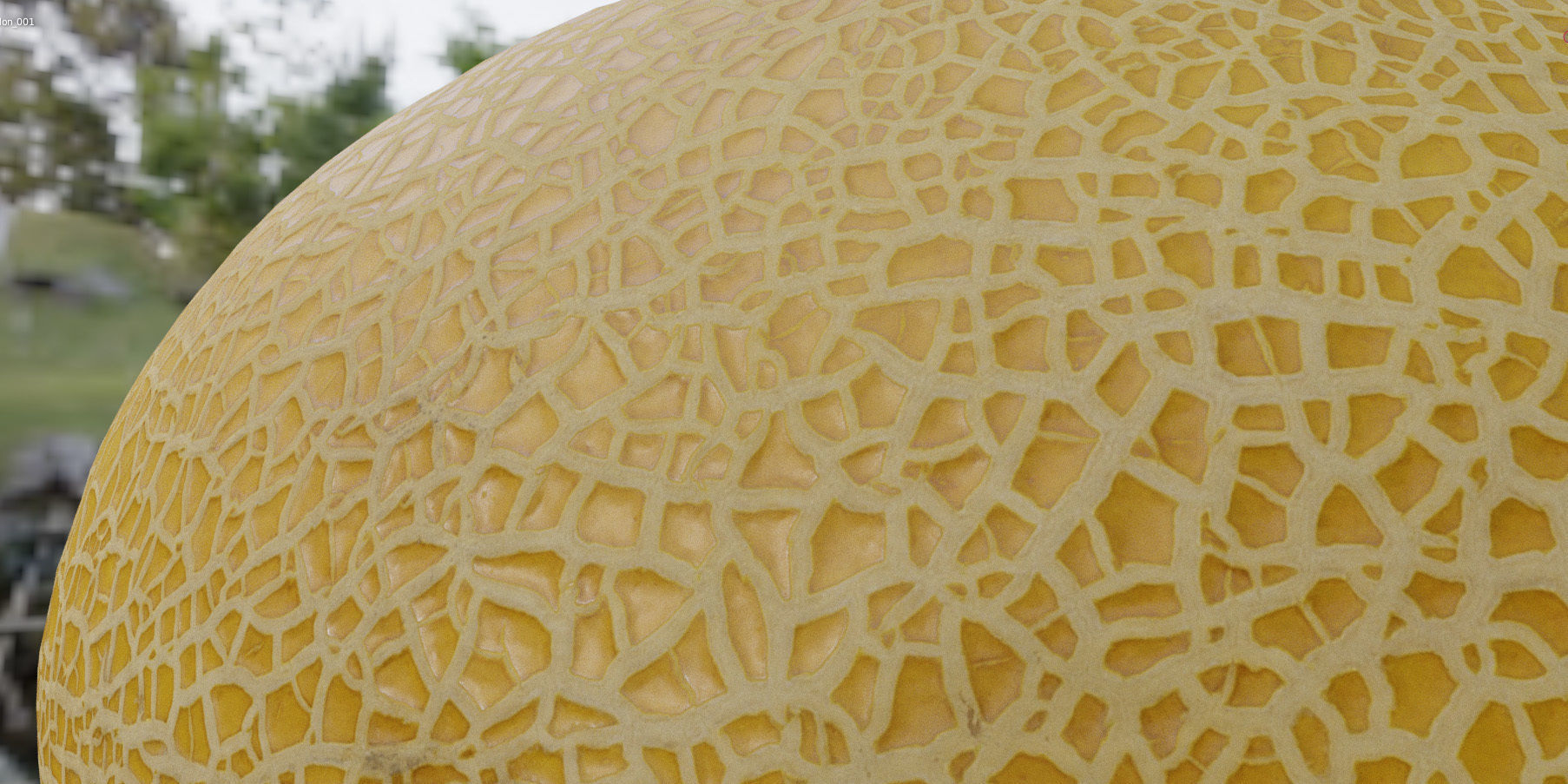 4k Melon 3D model | CGTrader