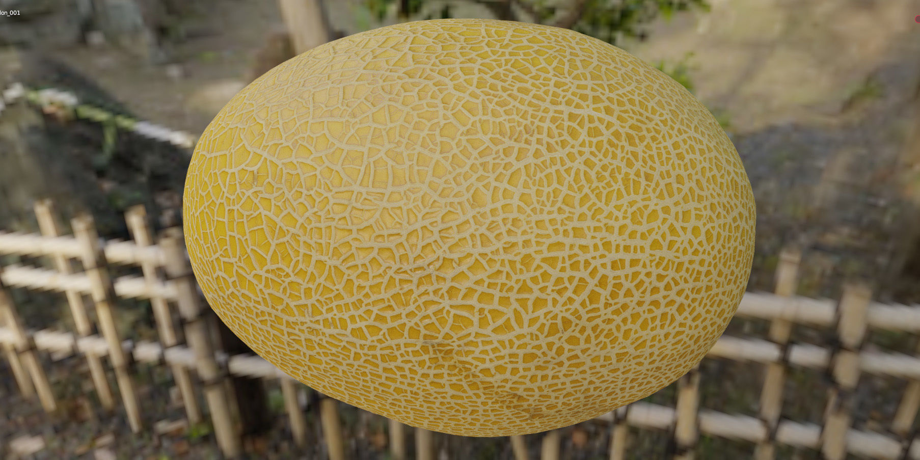 4k Melon 3D model | CGTrader