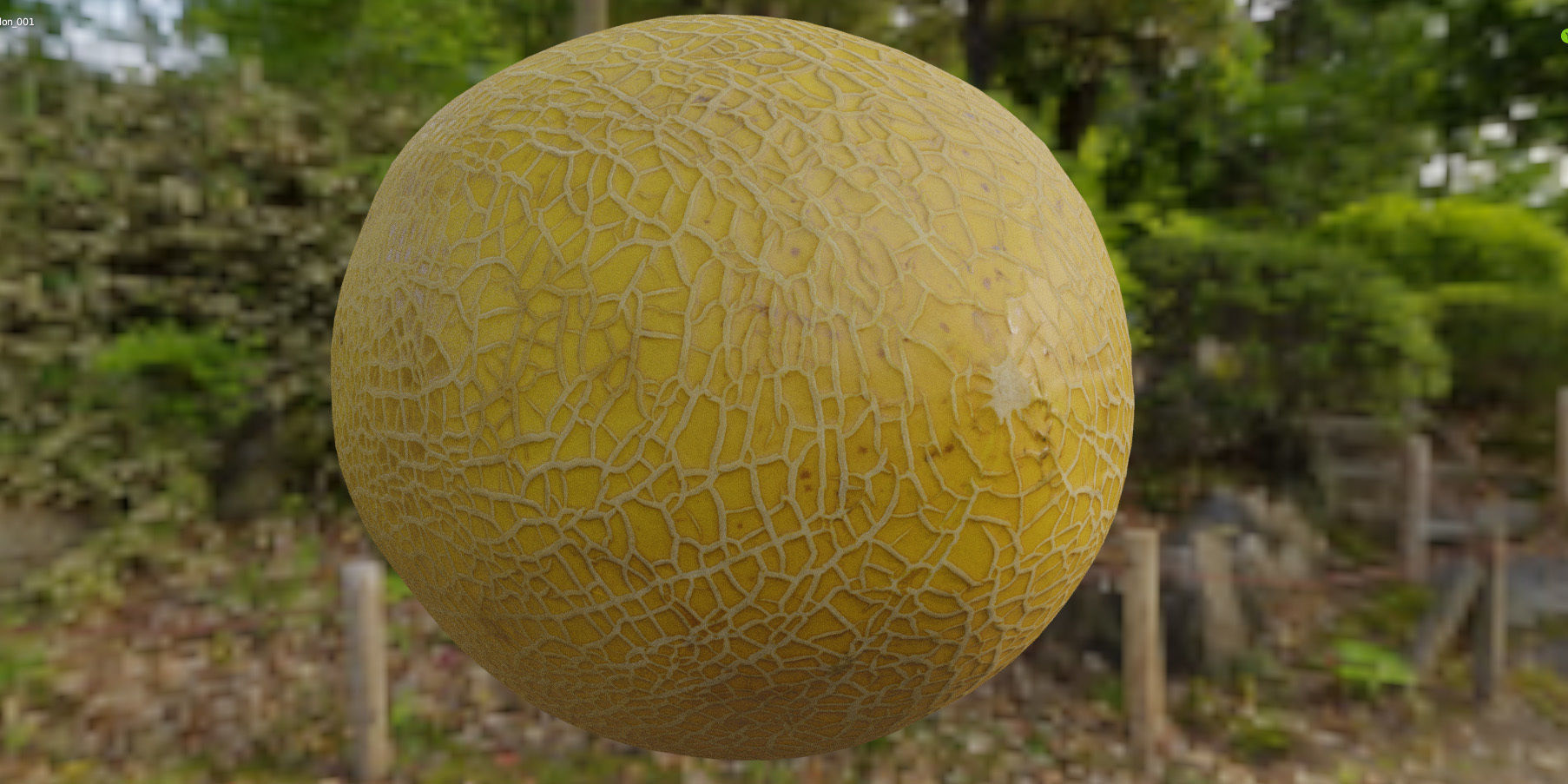 melon 3D model | CGTrader