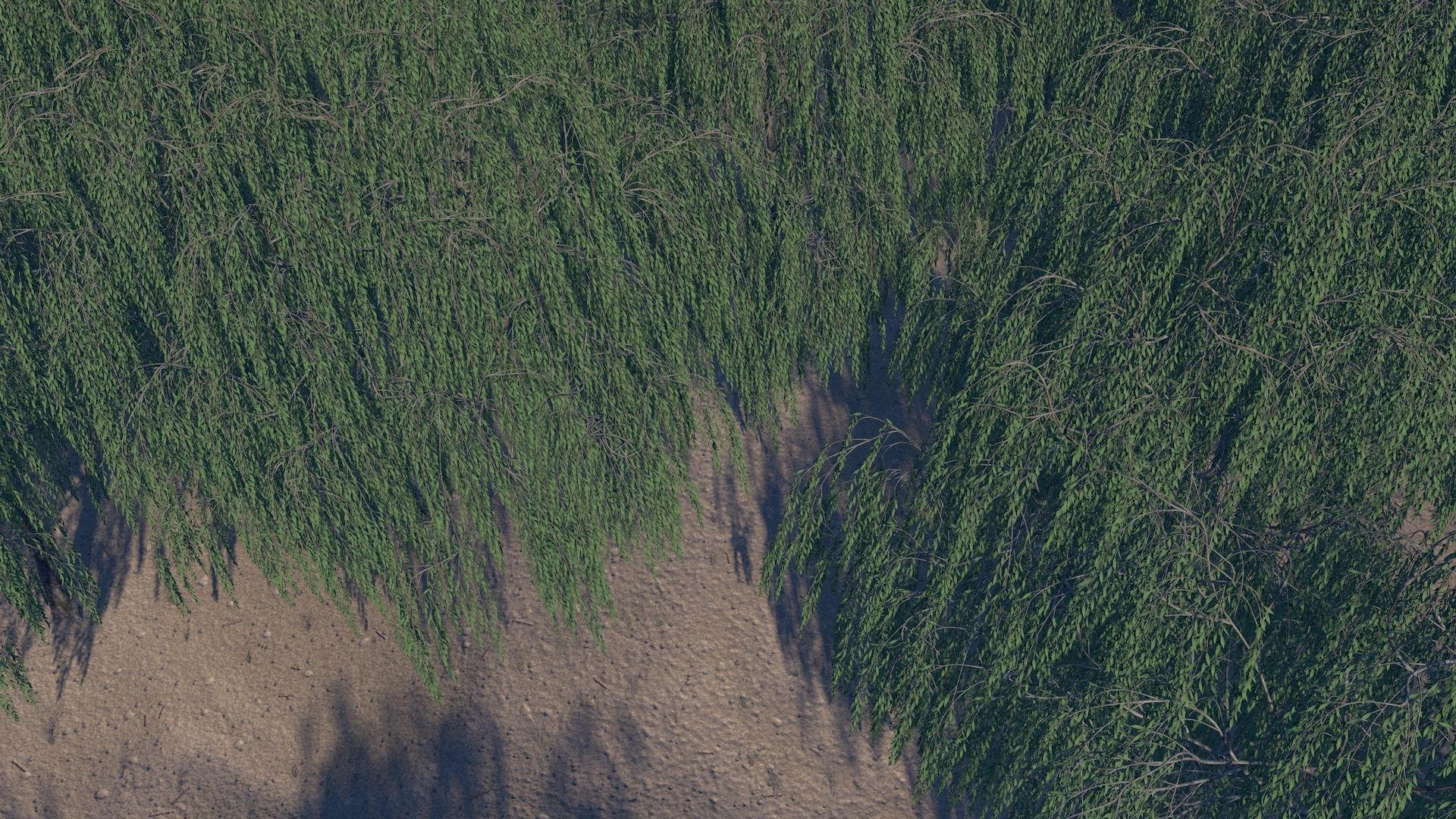 Sand Environment Template C4D 3D model animated | CGTrader