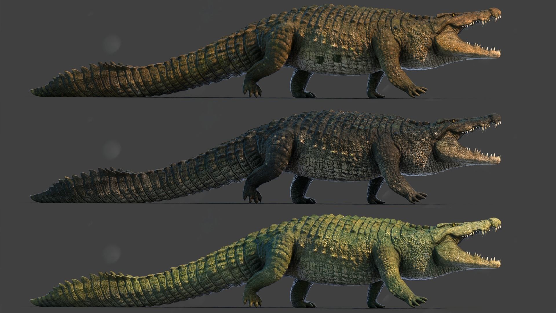 3D model Realistic Crocodile - Alligator VR / AR / low-poly rigged ...