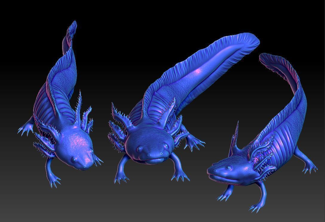 Axolotl 3D model 3D printable | CGTrader