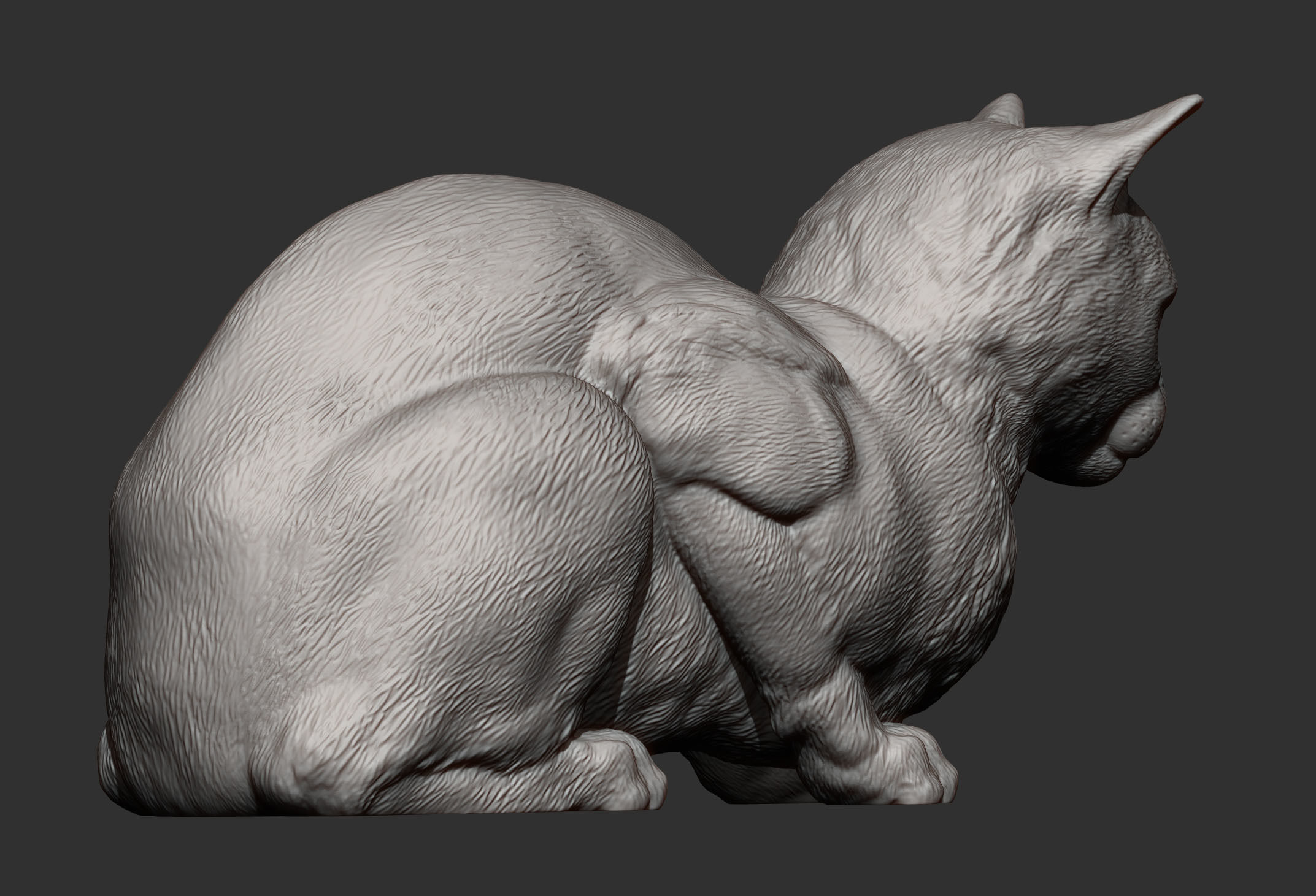Cat for 3d printing 3D print model 3D model 3D printable | CGTrader