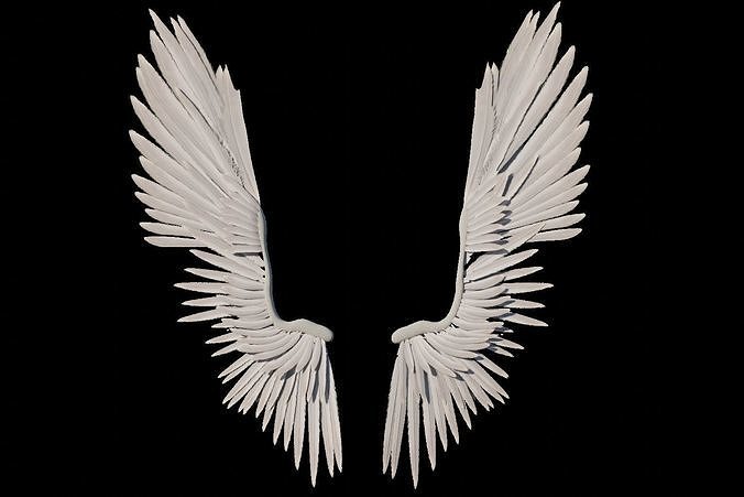 Angel Wings Rig 3D model rigged | CGTrader