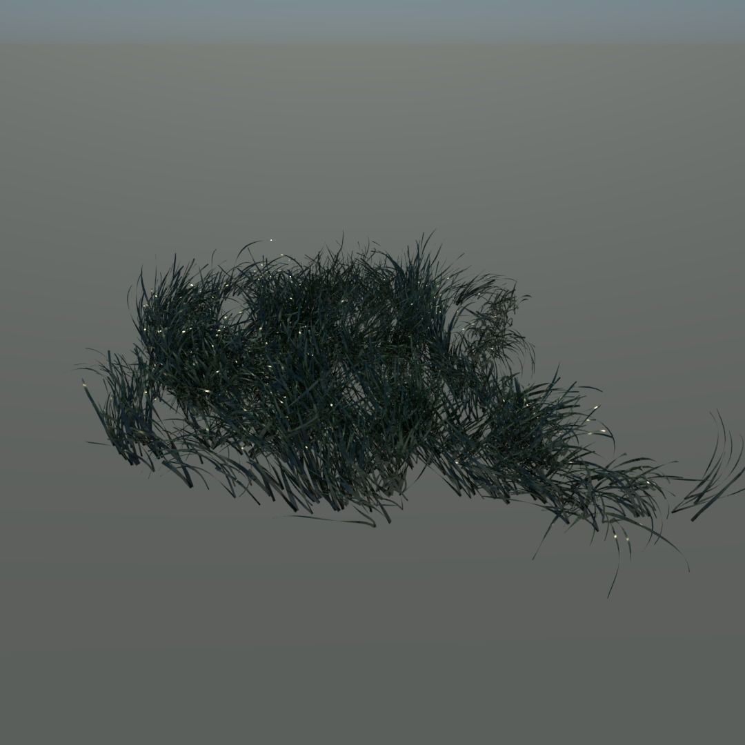 Grass clump 3D model animated | CGTrader